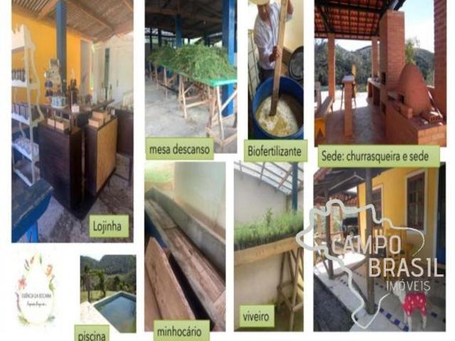 FAZENDA COM 30 ALQUEIRES EM SILVEIRAS /SP COM CERTIFICAÇÃO ORGÂNICA ECOCERT NA PRODUÇÃO DE ÓLEOS ES