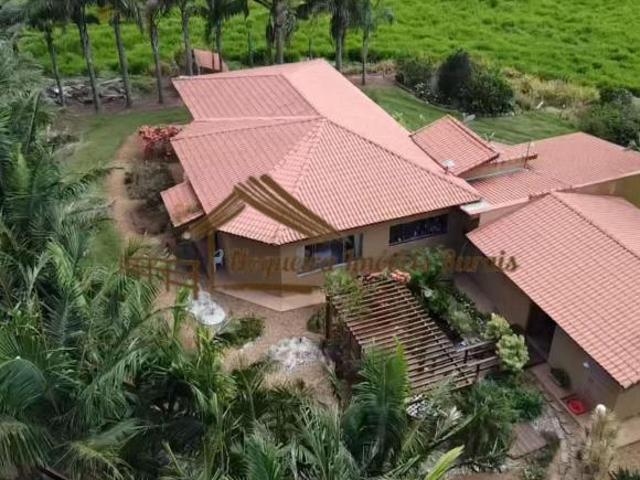 Fazenda com 31 alqueires, ótima para agricultura