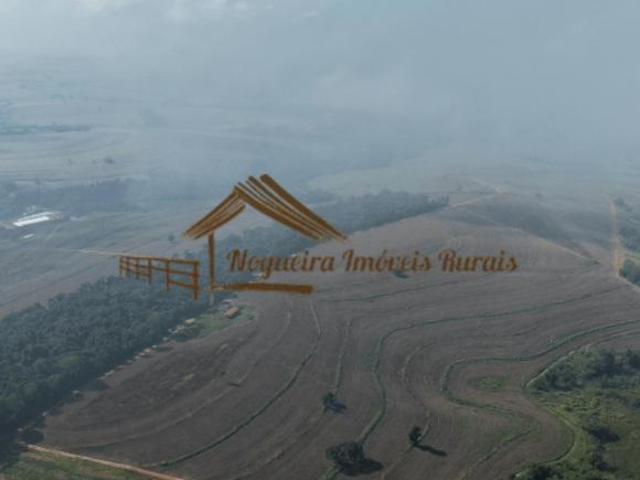 Fazenda com 340 alqueires para agricultura, na região de Avaré SP