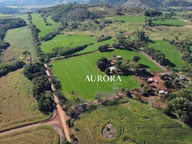 Fazenda com 39 alqueires à Venda em Ibiporã PR
