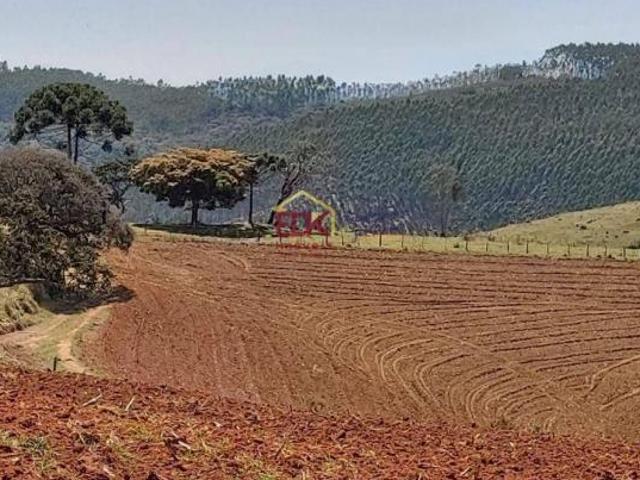 Fazenda com 3 dormitórios à venda, 1050000 m² por R$ 5.800.000,00 Campos Novos Cunha/SP
