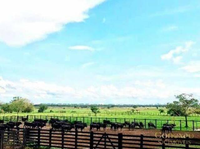 Fazenda com 3 dormitórios à venda, 10860000 m² por R$ 290.000.000,00 Santana São José dos Campos