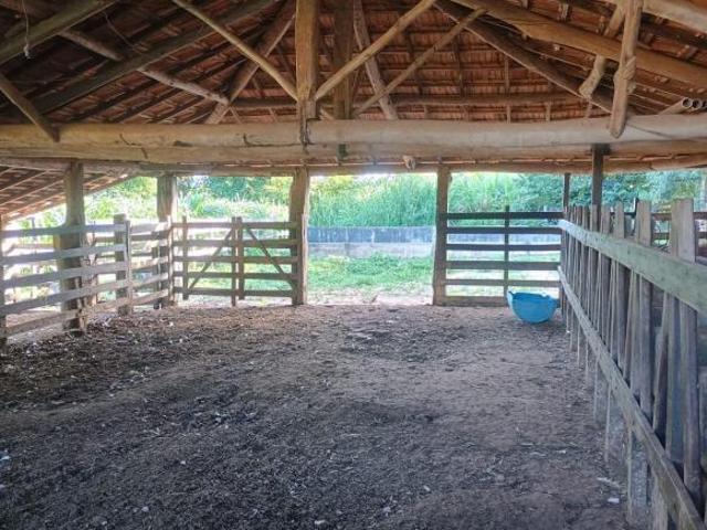 Fazenda com 3 dormitórios à venda, 140000 m² por R$ 570.000 Carmo Do Cajuru Carmo do Cajuru/MG