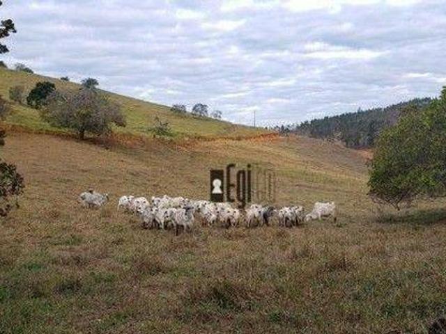 Fazenda com 3 dormitórios à venda, 220000 m² por R$ 1.300.000,00 Rio Novo Rio Novo/MG