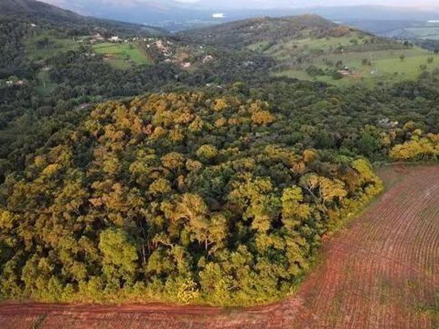 Fazenda com 3 dormitórios à venda, 430000 m² por R$ 1.850.000,00 Souza Rio Manso/MG