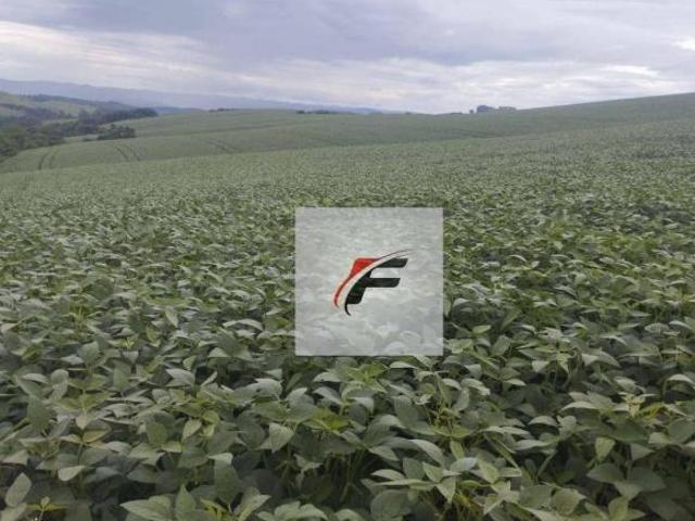 Fazenda com 3 dormitórios à venda, 871200 m² por R$ 11.263.500,00 Centro Guarapuava/PR