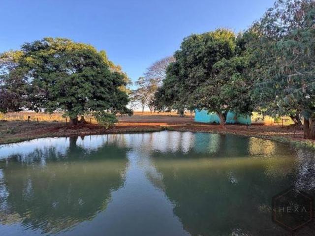 Fazenda com 3 dormitórios à venda Distrito Agroindustrial de Anápolis Anápolis/GO