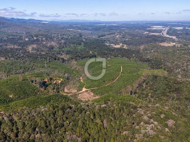 Fazenda com 3.571.400 m², à venda na Avenida Dom P