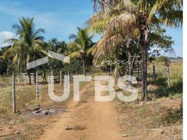 Fazenda com a área de 10,02 alqueires 46,5780ha, situada na zona rural Município de Cezarina/GO