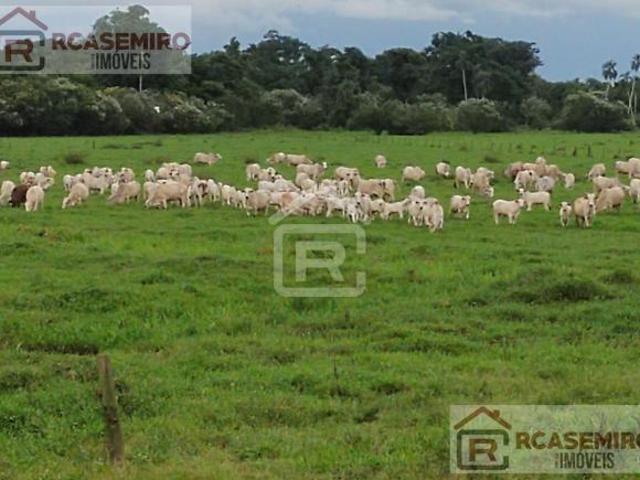Fazenda com área total de 389 alqueires