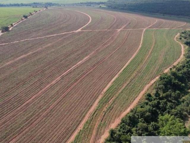 FAZENDA COM CANA DE 215 ALQUEIRES À VENDA EM ARARAQUARA SP Excelente Oportunidade!