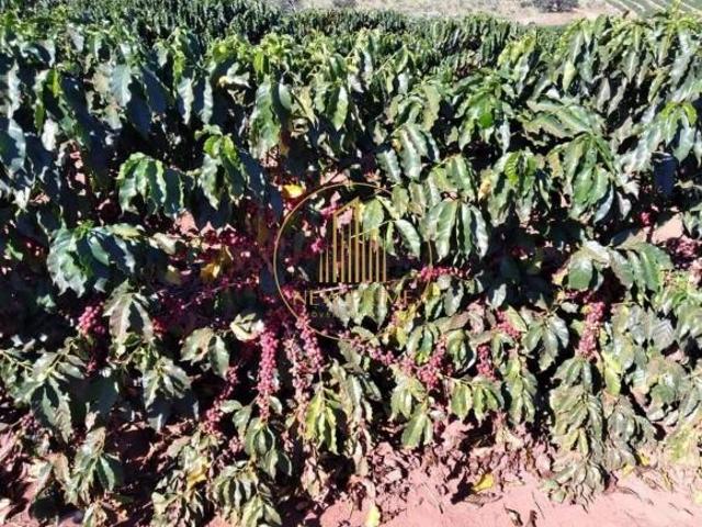 Fazenda com Café Irrigado à Venda – 1.674 ha – Minas Gerais
