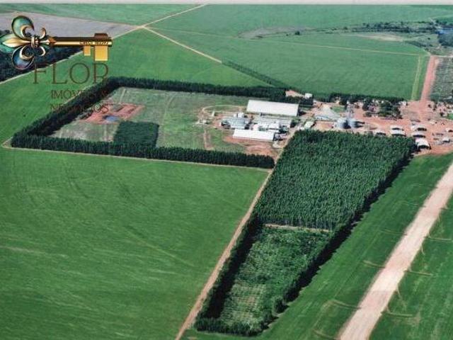 Fazenda com Complexo Industrial à Venda em Nova Mutum/MT Alto Potencial Agrícola com 26.727 ha