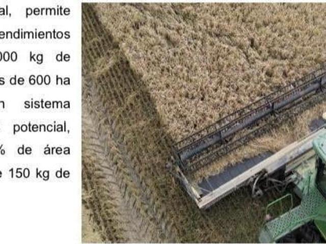 FAZENDA COM ESTRUTURA EXCELENTE NO URUGUAI