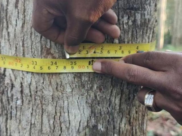 FAZENDA COM EUCALIPTO A VENDA NO VALE DO RIBEIRA REGIÃO DE REGISTRO SP* ? Área Total: 1.867 He