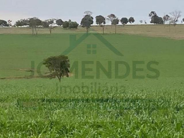 FAZENDA COM FÁBRICA DE RAÇÃO PET