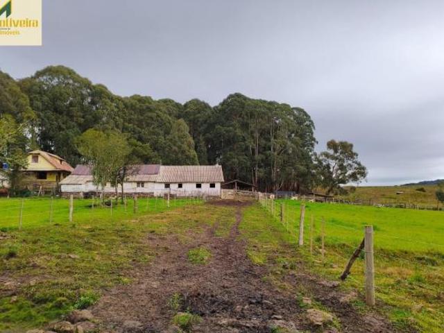 Fazenda com lavoura a 2 km do asfalto!