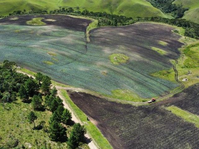 Fazenda com Lavoura e Rio em toda divisa!