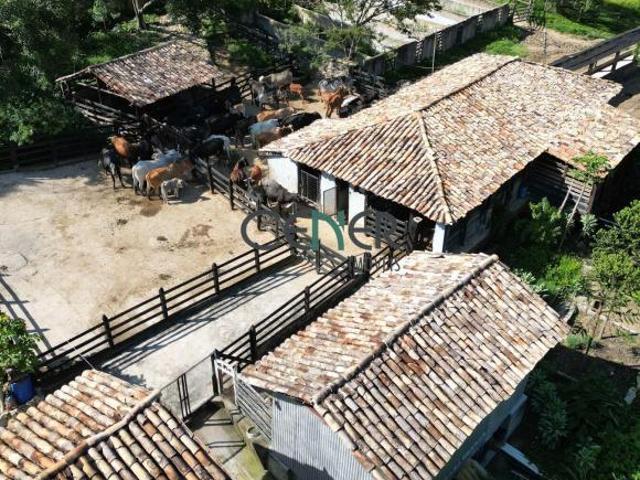Fazenda com lindo conjunto centenário de 180 ha na região de Passa Tempo MG
