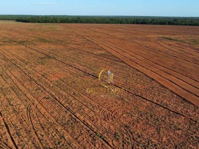 Fazenda com mais de 9.000 HA a venda em São José do Xingu no Mato Grosso!