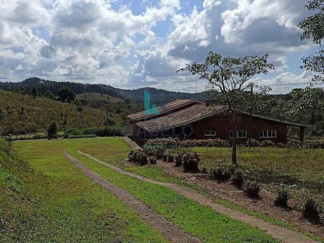 FAZENDA COM PASTO E MATA EM DELFIM MOREIRA MG/ CAMPOS DO