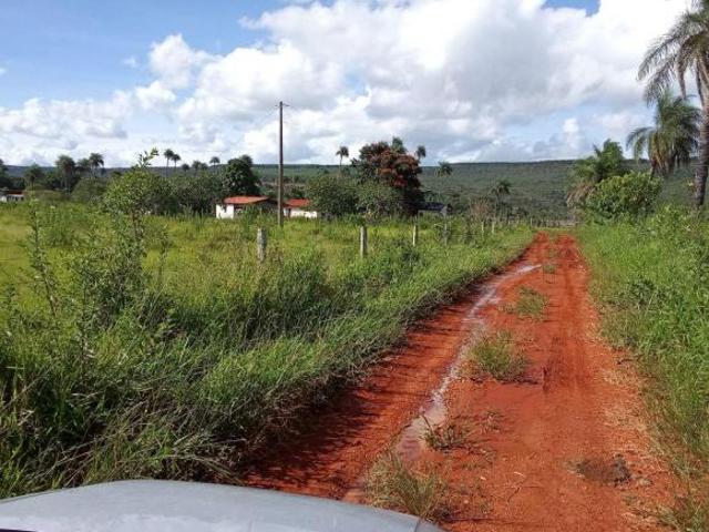 FAZENDA COMPLETA NA BR 020 BRASILIA FORMOSA