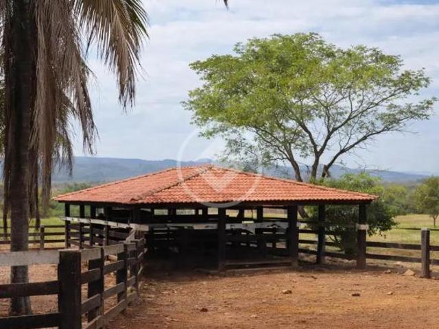 Fazenda Completa na Estrada da Guia – 1.537 Hectares Prontos para Produção
