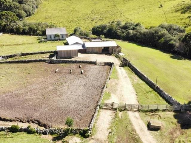 Fazenda completa na Serra Gaúcha!