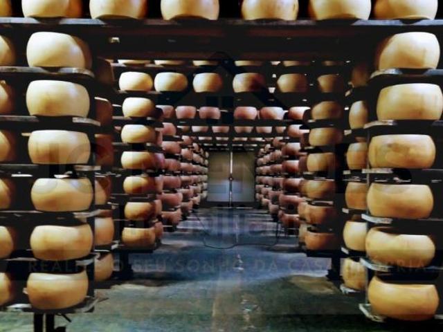 FAZENDA COMPLETA COM LATICÍNIO E SUINOCULTURA EM UBERABA MG