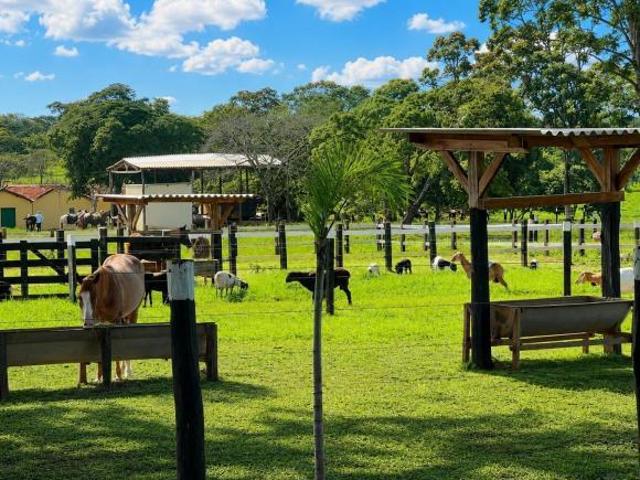 Fazenda completa de 75 alqueires por R$ 16 milhões: oportunidade rara em Goiás