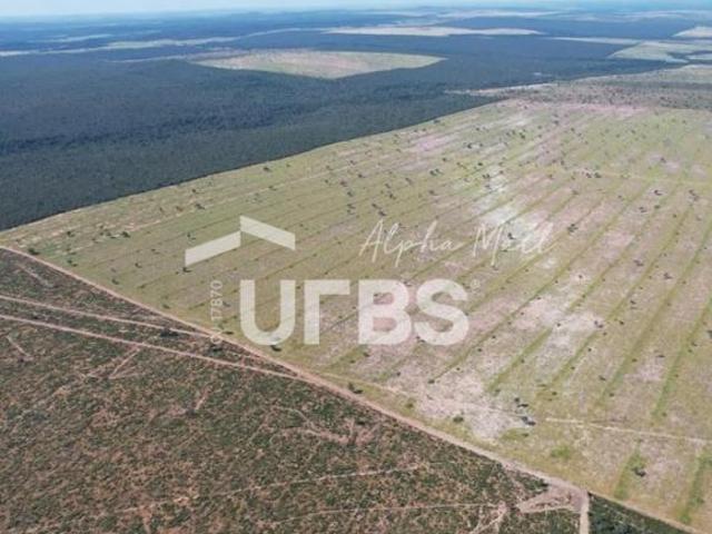Fazenda completa em Paranatinga com 4.532 hectares — estrutura pronta para pecuária e agricultura, 2