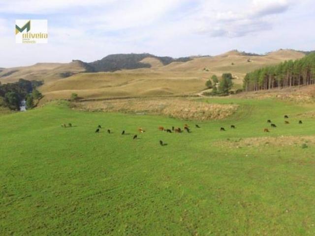 Fazenda completa toda estruturada!