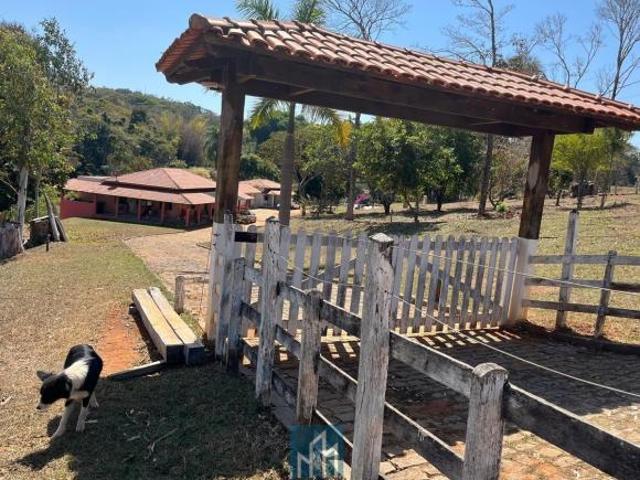 FAZENDA Comunidade de Lagoas Entrada 500.000,00 mais 1 apto no restante