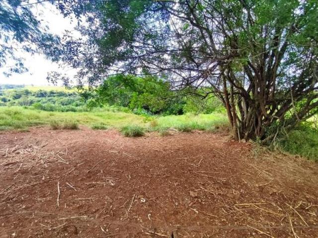 Fazenda, Conjunto Vivi Xavier, Londrina, PR