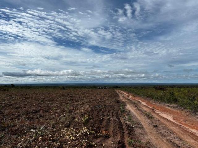 Fazenda Conquista 5560 hectares 500 abertos