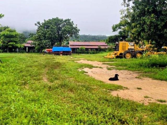 FAZENDA DUPLA APTDÃO, LAVOURA E PECUÁRIA, REGIÃO NORTE DE GOIÁS