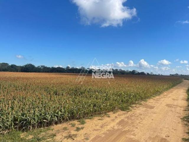 FAZENDA DUPLA APTIDÃO 30 ALQUEIRES LUZIANIA GOIAS