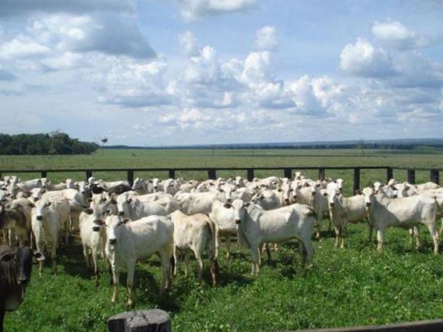 FAZENDA DUPLA APTIDÃO