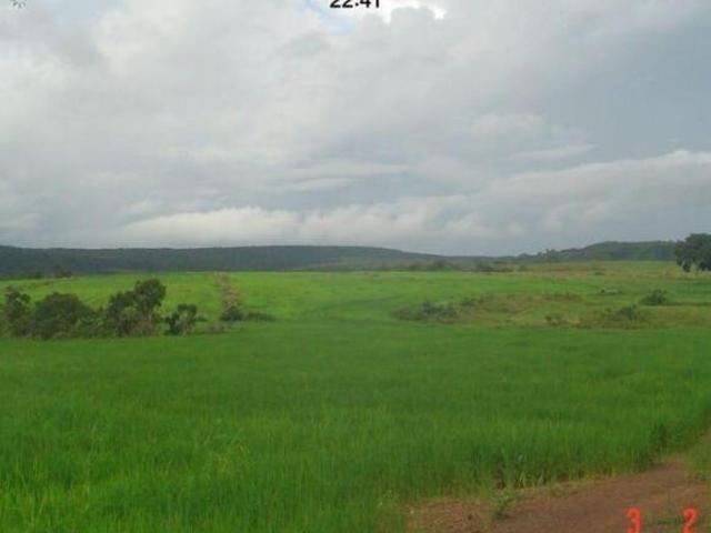 FAZENDA DUPLA APTIDÃO