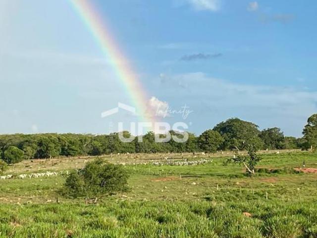 Fazenda dupla aptidão com 28,5 alqueires Bom Jardim de Goiás Escriturada e Atualizada