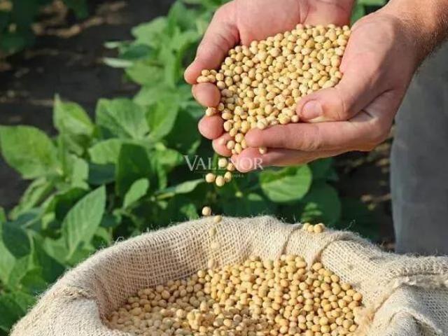 Fazenda dupla aptidão com 39.000 hectares na região de Confresa, MT