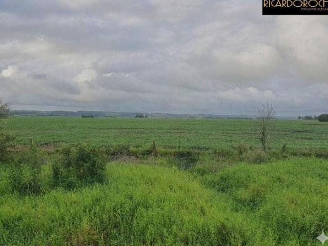 Fazenda Dupla Aptidão | Capivari do Sul | RS