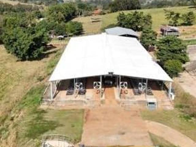 FAZENDA DUPLA APTIDÃO E LEITERIA – ANGATUBA
