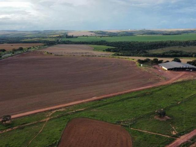 Fazenda dupla aptidão em São João da Aliança