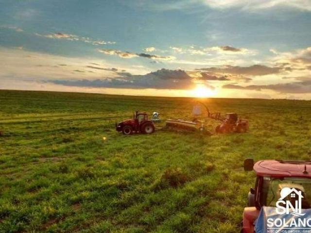 FAZENDA DUPLA APTIDÃO EM PRIMAVERA DO LESTE MT