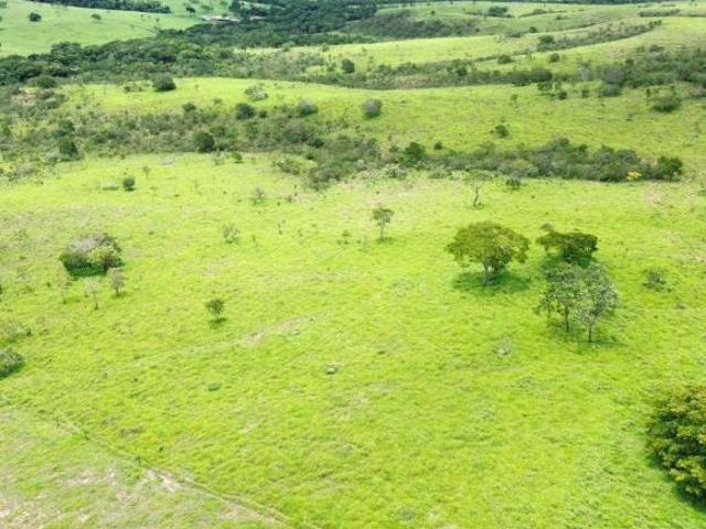 Fazenda Dupla Aptidão Luziania GO / Ocidental Area 457,8 hectares R$ 16 Milhões