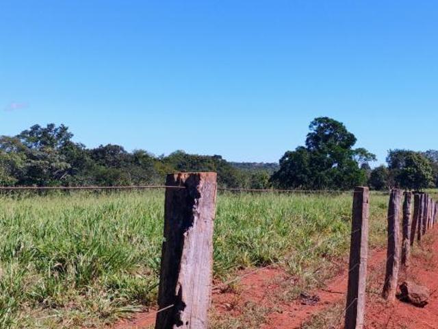 FAZENDA DUPLA APTIDÃO, MINAÇU DE GOIÁS
