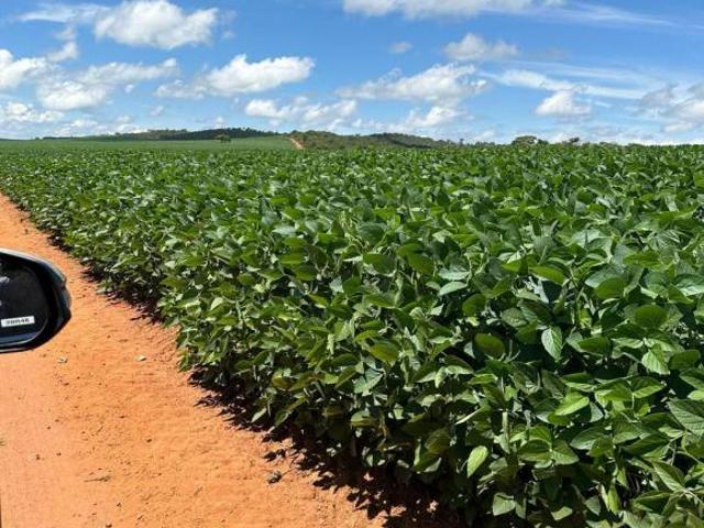 FAZENDA DUPLA APTIDÃO, PECUÁRIA E LAVOURA, CORUMBÁ DE GOIÁS