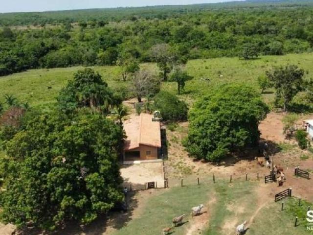 FAZENDA DUPLA APTIDÃO PLANTAÇÃO E PECUÁRIA PALMEIROPOLIS GO