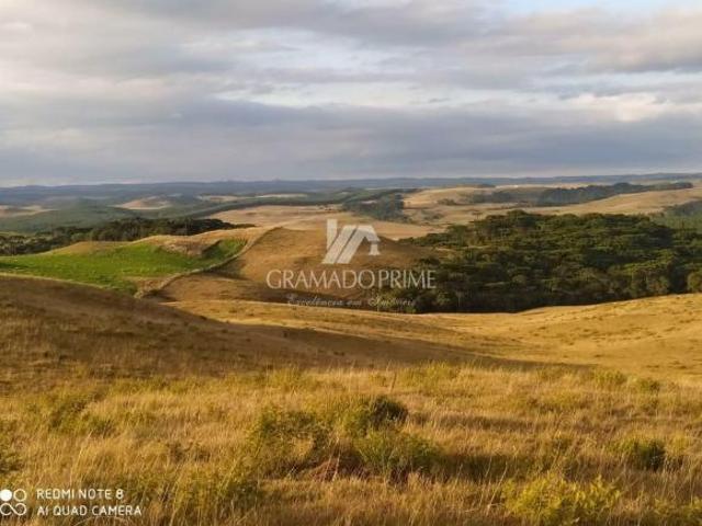 FAZENDA DA CRIA